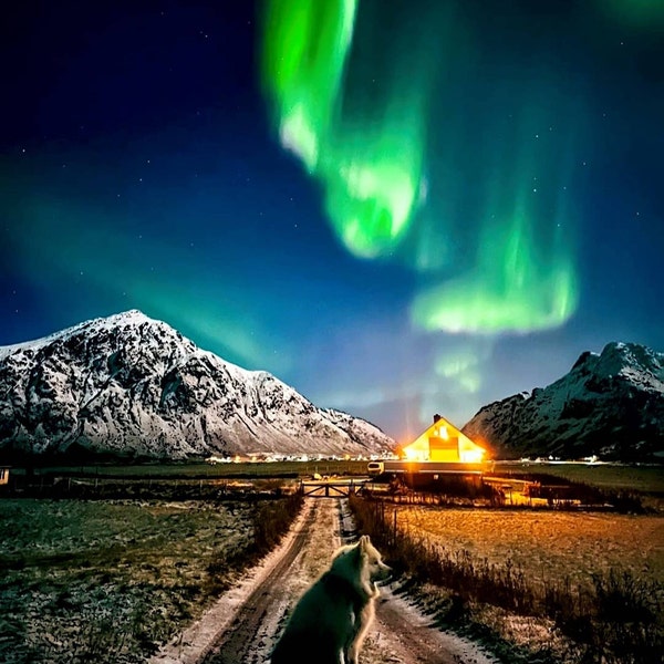 4-channel Radionic/potentiator Machine - Etsy