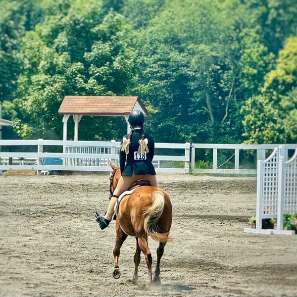 Equestrian Flamingo Show Bows With Hair Elastic, Pink Blue Horseback ...