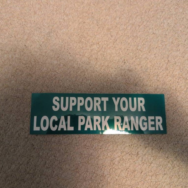 BARNEY FIFE the Andy Griffith Show "checkpoint Chickie" POSTER Art, Don ...