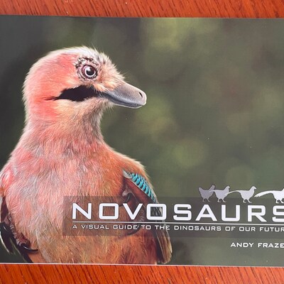 NOVOSAURS Book - Etsy
