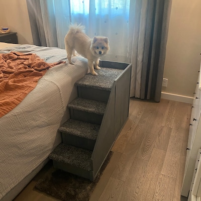 Pet Ramp With Sidewall 27 Tall 60 Long 12 Wide 30 Inch With Sidewall - Etsy