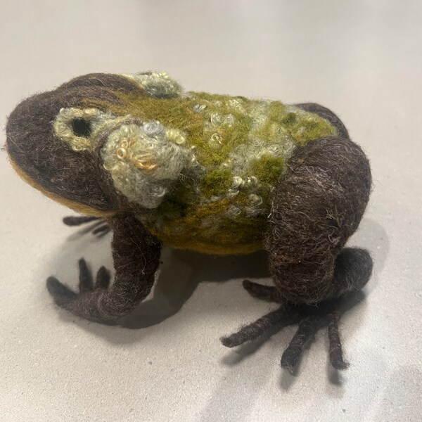 Fuzzy Felted Fungi - Etsy