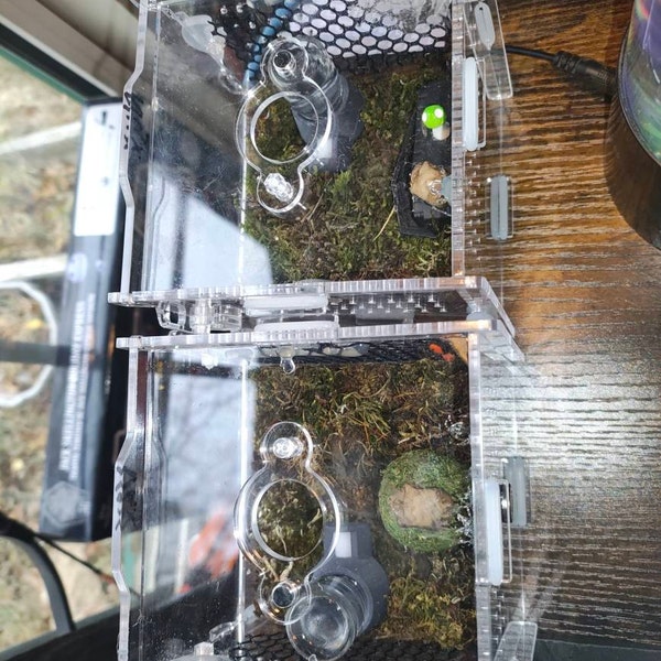 Wicking Water Feeder Trough for Small Pets Insects, Spiders, Tarantulas ...