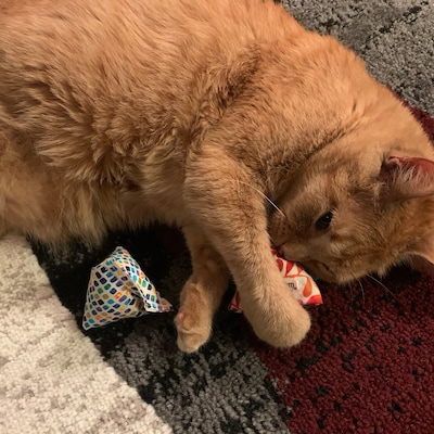 Cat Fin 5 Pack FIVE 5 Cheerful Assorted Cat Pyramid Toys Organic Catnip ...