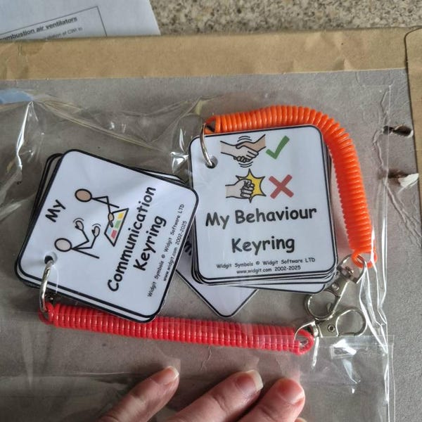 Now Next Pre School Sequencing Keyring & 48 Symbols Visual Aid for ...
