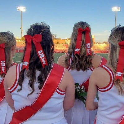 Custom College Cheer Bows Designed in Your Team Colors. Writing on ...