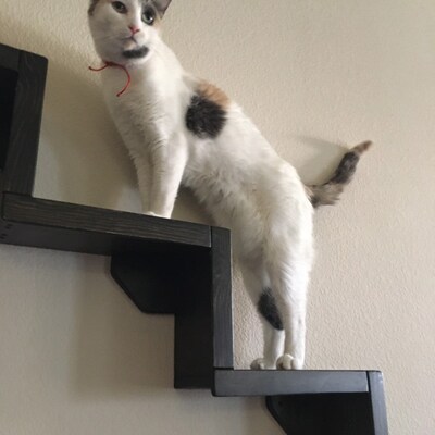Floating Cat Stairs Floating Cat Bed Cat Perch Cat Furniture - Etsy