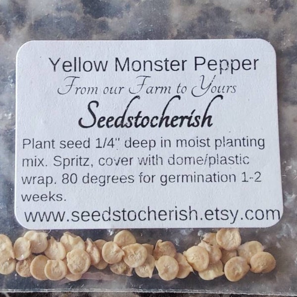30 Heirloom Dwarf Tiny Tim Tomato Seeds, Organic, Container, Patio ...