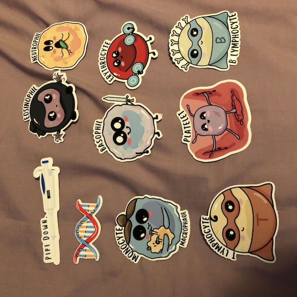 Blood Cells | Stickers or Magnets | Science, Hematology, Medical ...