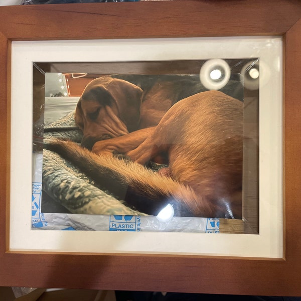 Sublimation Pub/bartender Style Bottle Opener 5pk - Etsy