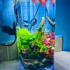 DIY Self Cleaning Conversion Kit for Anchor Hocking, 2 Gallon Fishbowl ...