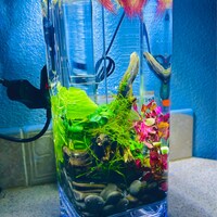 DIY Self Cleaning Conversion Kit for Anchor Hocking, 2 Gallon Fishbowl ...