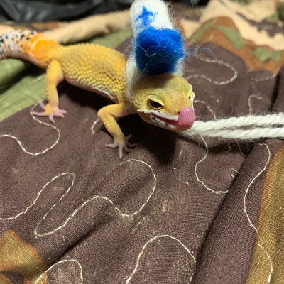 Leopard Gecko and Other Lizard Hats - Etsy