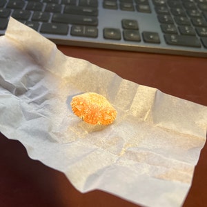 Razor Clam Shell Pairs Small Medium Large Cornish - Etsy