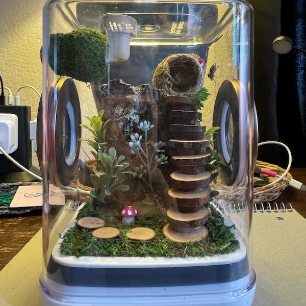 Jumping Spider Enclosure 5x5x9 Spider House, Spider Tank, Spider ...