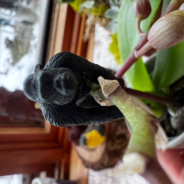 MINIATURE GORILLA Animals Figurine Figure Fairy Garden Dollhouse ...