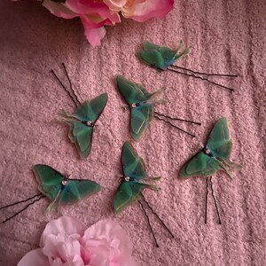 Silk Luna Moth Extra Large Lapel Pin Brooch 3d Three-layered - Etsy