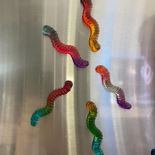 Sting Ray Magnet Set, Quirky Magents, Refrigerator Magnets, Funky ...