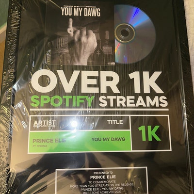 MUSIC STREAMING AWARD, Custom Vinyl Record, Award, Vinyl Record Plaque ...