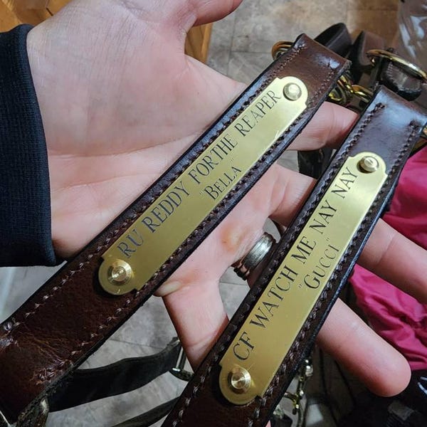 Leatherette Horse Show Award Plaque With Your Choice of Rodeo Design ...