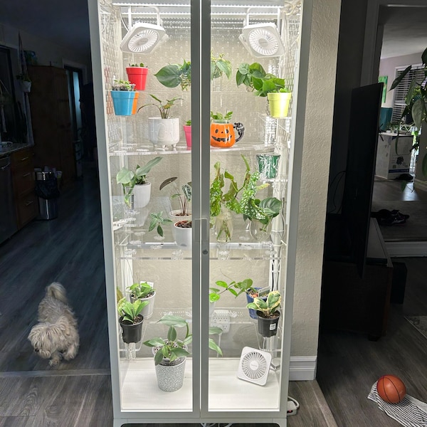 V2 Milsbo Tall Series Acrylic Shelves and Accessories - Etsy