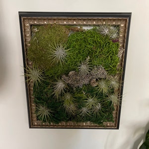 Spider and Husk Digital Print Printable From Original - Etsy