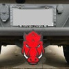 Front Facing Razorback Wall Art - Etsy
