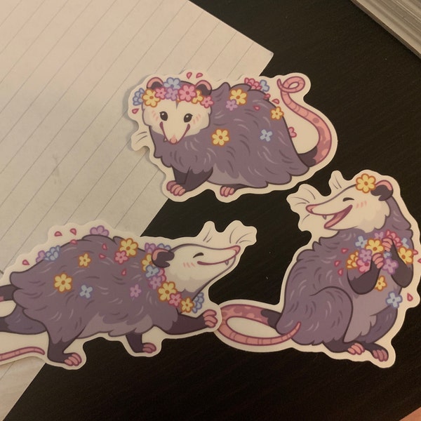 Opossum Vinyl Stickers (pack of 3) - Cute Waterproof Possum Sticker ...