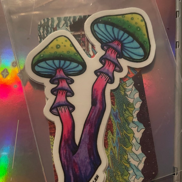Sticker | Winter Sports | Laptop Sticker | Snowboard Sticker | Flask ...