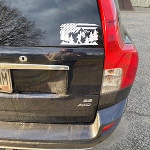 Wile E. Coyote Splat Image in Road Runner Decal - Etsy