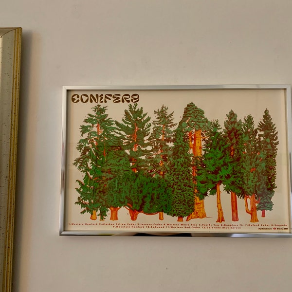 RISO 11 X 17 Conifer Tree Poster - Etsy