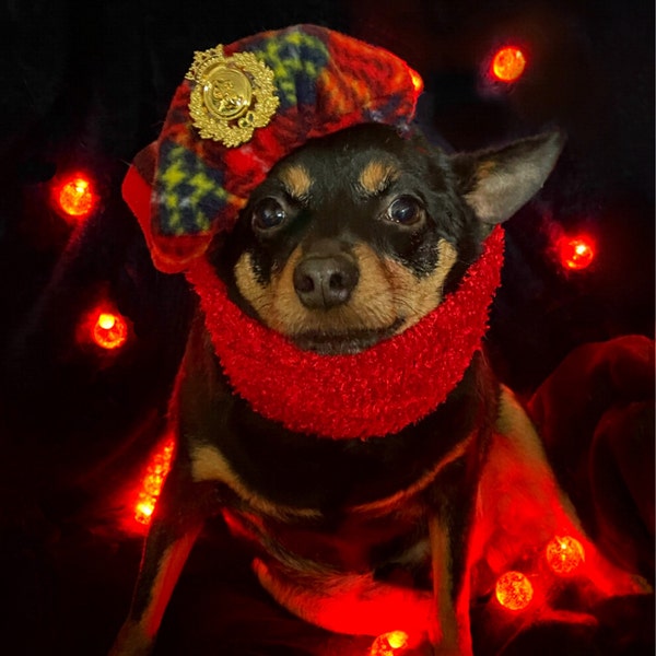 Set 2 Piece Beret and Scarf for Dog Cat or Small Animal / Costume/ - Etsy