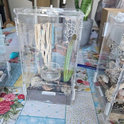 JC Decorated Hexagon Enclosures - Etsy