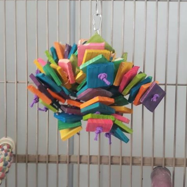 Macaw Ladder, Large Bird Toy - Etsy