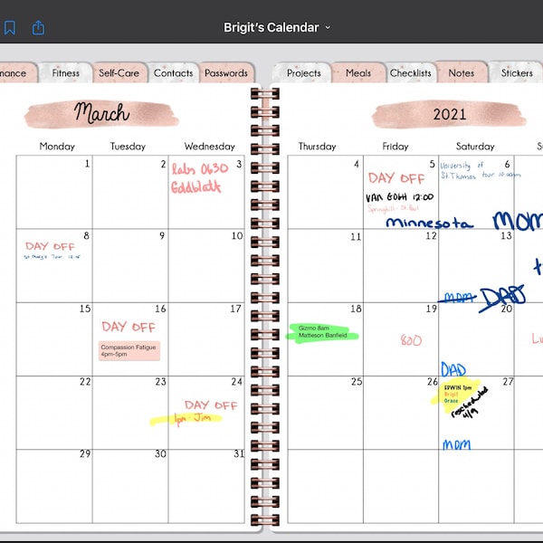 2021 Rose Gold Digital Planner, 2021 Digital Planner for Tablets, 2021 ...