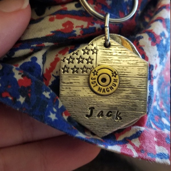 Custom Dog Tag, Personalized Pet Tag, Pro Gun Keychain, Hexagon Metal ...