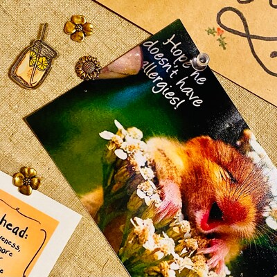 Ice Cream Cone Push Pin Set 15, Fun Summer Food Bulletin Board Decor ...