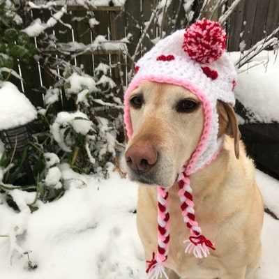Valentines Day Dog Hat, Valentines Day Dog Photo Prom, Dog Hat With Red ...