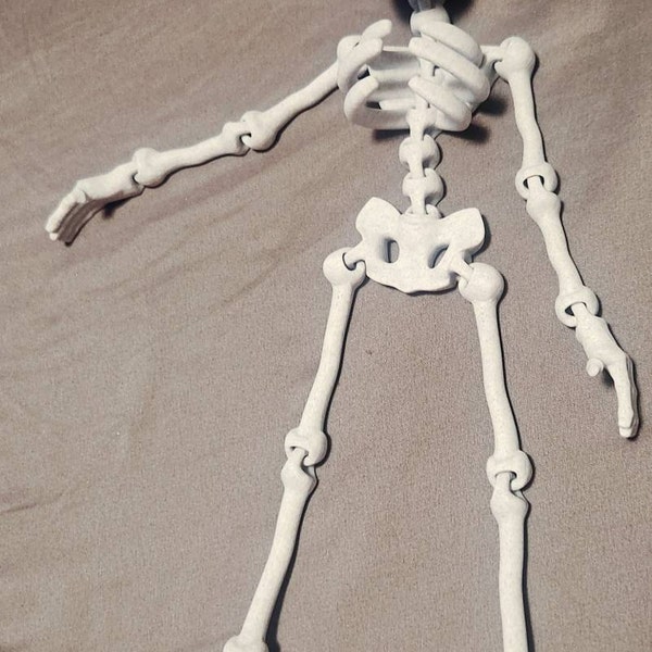 Custom 3D Printed Halloween Drink Coasters Pumpkin Goblin Skeleton - Etsy