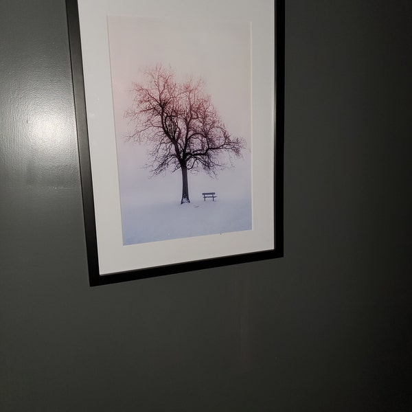 Hazel Forbes, Ziegfeld Girl & Miss United States, by Alfred Cheney ...