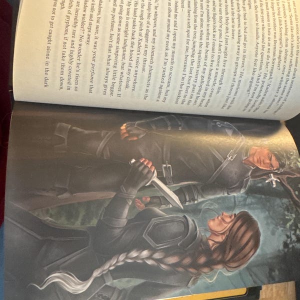 ACOTAR Starfall Page Overlays Mini Set From A Court of Mist and Fury by ...