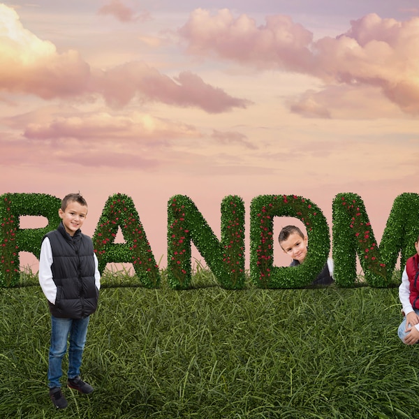 13 Box Photography Template, Collage for in the Box Photography, Inside ...