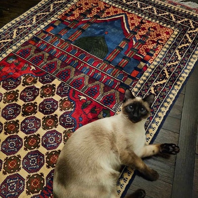 6x6 Round Rug, Handmade Afghan Blue Floral Persian Circle Rug, Oriental ...