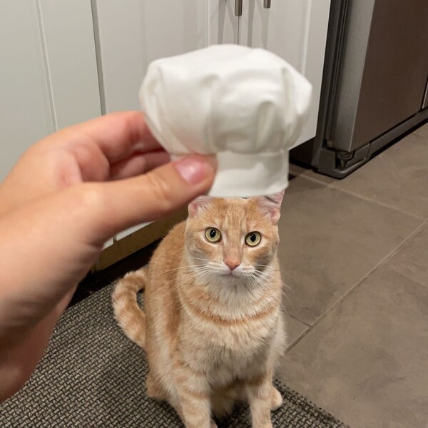 Mini Chef's Hat - Traditional White Fabric - Pastry Chef Fascinator - Etsy