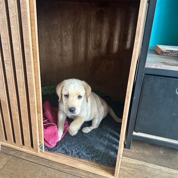 Sharpening Kit for Philips Norelco Electric Shaver - Etsy