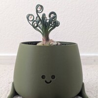 3D Printed Nordic Face Planter, Eco-friendly Bio-based Material, Cute ...