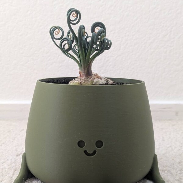 3D Printed Happy Face Planter, Eco-friendly Bio-based Material, Cute ...