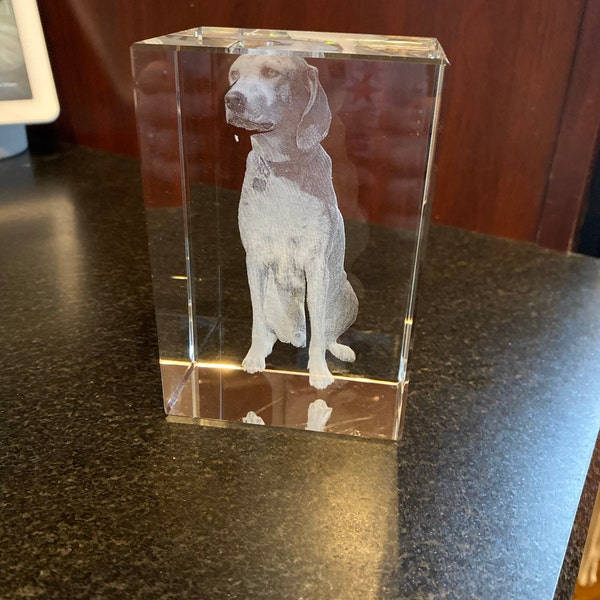 Dog Memorial Gift Memorial Gift for Dogs Pet Memorial Gift Custom ...