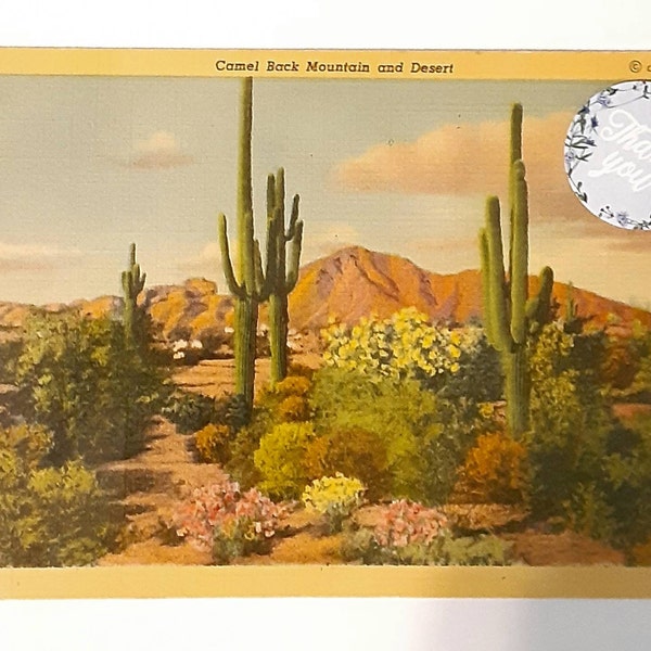 Set of Vintage Sea Postcards , Vintage Postcard Set, Unused and Used ...