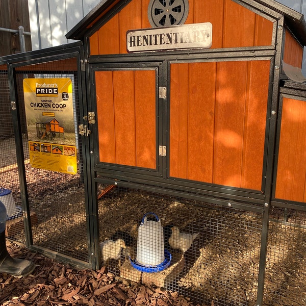 Henitentiary Funny Chicken Coop Sign - Backyard Chicken Gift - Cute ...